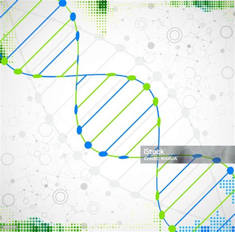 科學範本dna 分子背景向量圖形及更多人圖片 人 人類基因組碼 人體構造 Istock