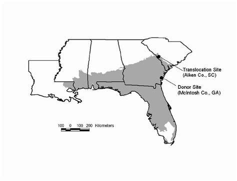 1 Distribution Of Gopher Tortoises Shaded With Locations Of Donor Download Scientific