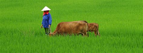 Global Agenda For Sustainable Livestock