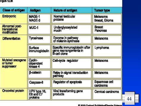Tumor Immunology For Cancer And The Immune Systemppt