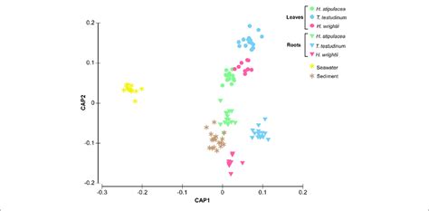Canonical Analysis Of Principal Coordinates Cap Ordination Plot