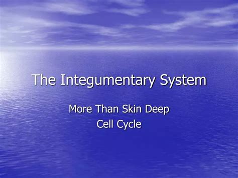Ppt The Integumentary System Powerpoint Presentation Free Download