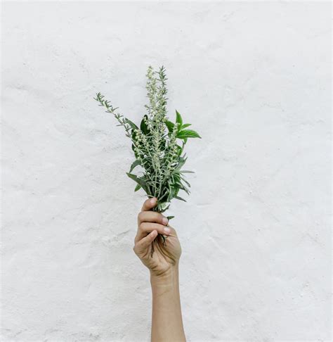 О компании Производство и оптовая реализация биологически активных добавок к пище