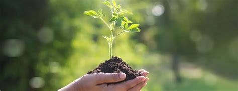 What Is Predictive And Prescriptive Analytics In Energy Management Entouch