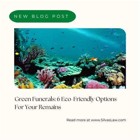 Green Funerals 6 Eco Friendly Options For Your Remains