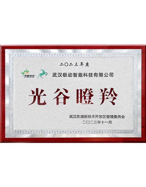 荣誉资质 武汉极动智能科技有限公司