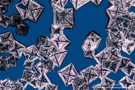 Salt Crystals Microscope