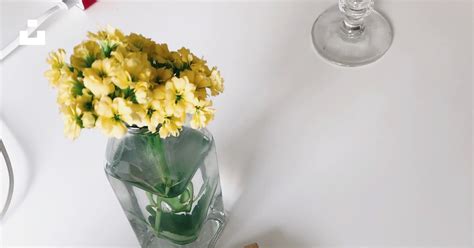 스테인레스 스틸 숟가락 옆에 흰색 세라믹 접시에 흰색 세라믹 컵 사진 Unsplash의 무료 차 이미지