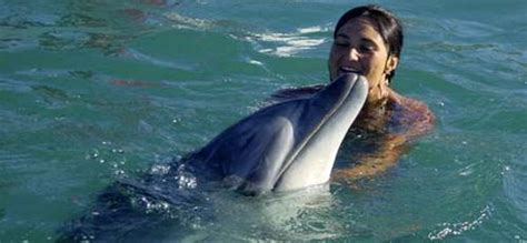 Moko The Amazing Dolphin