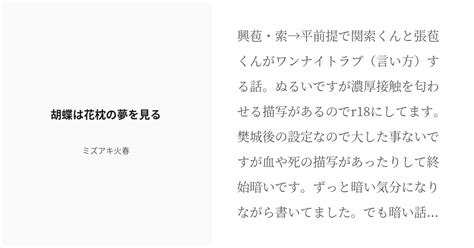 R 18 三國無双 関索 胡蝶は花枕の夢を見る ミズアキ火春の小説 Pixiv