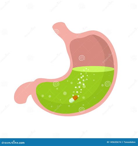 Acid Stomach Burn Gastritis Icon GERD Acidity Stomach Reflux Heartburn