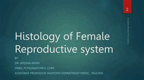 Histololgy Of Female Reproductive System Pptx