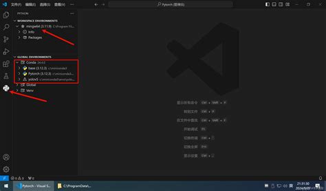 使用vscode替代jupyter Notebookvscode Jupyter Csdn博客