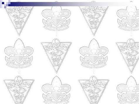 Bsp Scouting And You Ppt