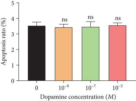 Da Does Not Influence The Apoptosis And Proliferation Of Rbmscs A