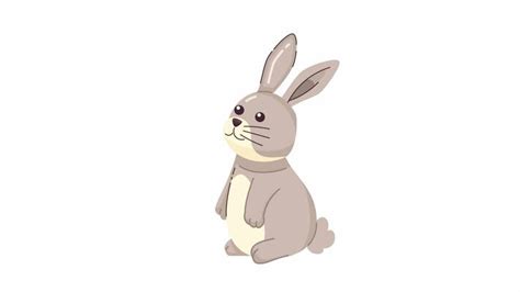 Animated Rabbit Stock Video Footage For Free Download