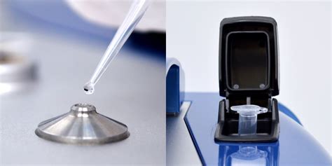Absorbance And Fluorescence Quantification
