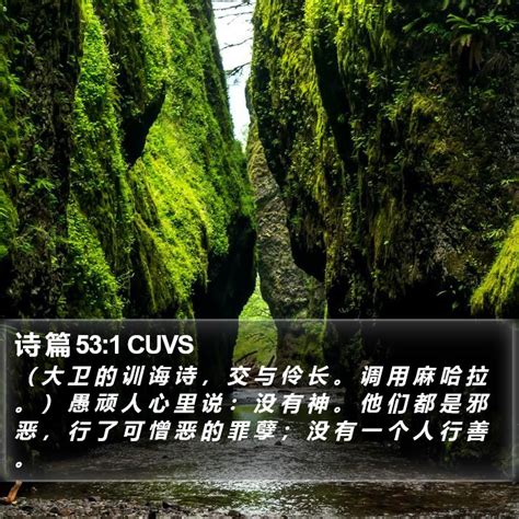诗 篇 53 1 CUVS 大 卫 的 训 诲 诗 交 与 伶 长