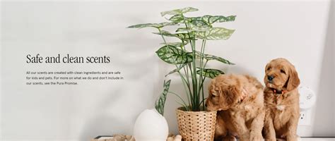 Pura Fragrance Diffuser