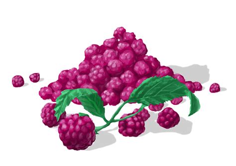 Иллюстрация Малина в стиле 2d