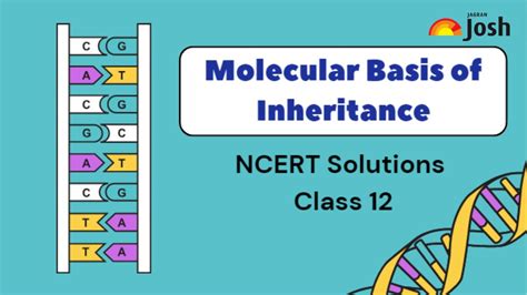 NCERT Solutions For Class 12 Chapter 5 Molecular Basis Of Inheritance
