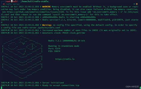 Kali Linux安装rediskali安装redis Csdn博客