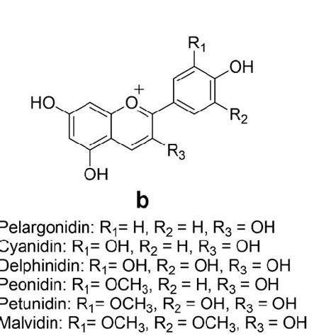Chemical Skeleton Of Anthocyanin A Flavylium Cation B Most Common