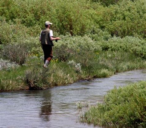 Fishing South Piney Creek Pinedale Online News Wyoming
