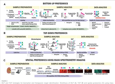 Figure 2 From Mass Spectrometry Based Proteomics For Advancing Solid Organ Transplantation