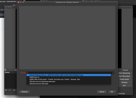 BUG OBS On MacOS Catalina Does Not Request Required Permissions To Perform Window Capture