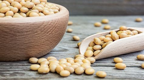 Soybeans A Superfood Packed With Boron Borates Today