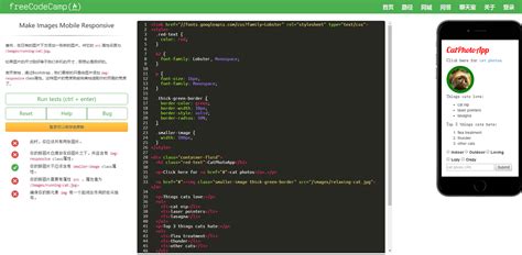 全世界学习web开发的最好方式 freecodecamp学习参考资料 知乎