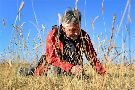 Photos 2022 Tarantula Mating Migration In Southern Colorado