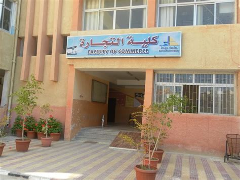 عاصم رمضان سلامه