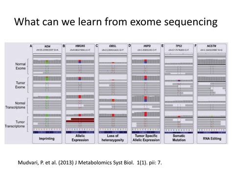 PPT Exome Sequencing Data Analysis PowerPoint Presentation Free