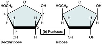 Organic Chemistry Reinforcement