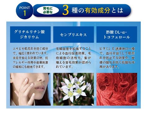 【楽天市場】海から生まれた 育毛剤 Marimo マリモスカルプ 120ml 無添加 医薬部外品 父の日 男性育毛剤 レディース育毛剤 育毛