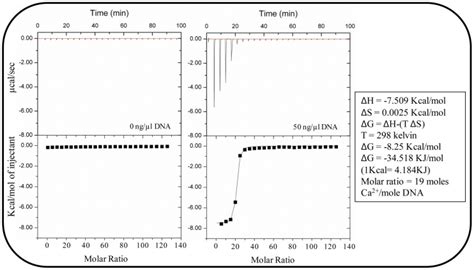 Isothermal Titration Calorimetry Itc Studies To Evaluate The