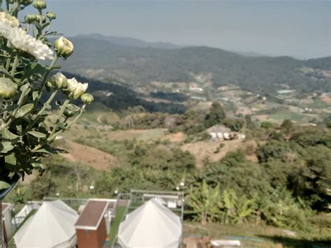 ที่พักว่าง ดอยติดดาว ม่อนแจ่ม โฮมสเตย์ เชียงใหม่