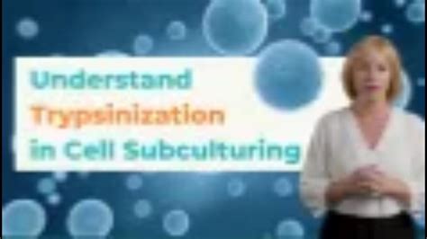 Understanding Trypsinization In Cell Subculturing Youtube Understanding Trypsinization In Cell Subculturing Youtube