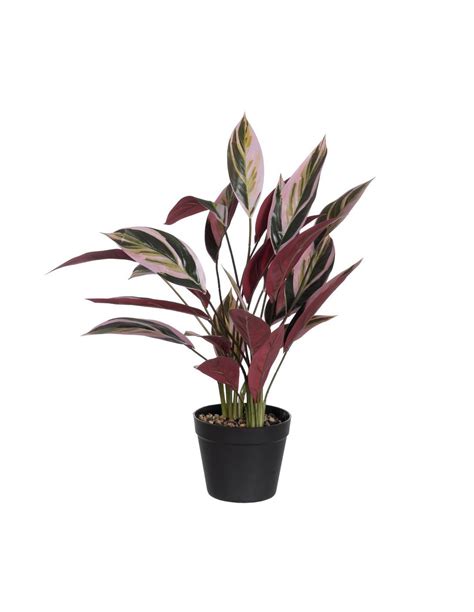 Flores Y Plantas Artificiales 6