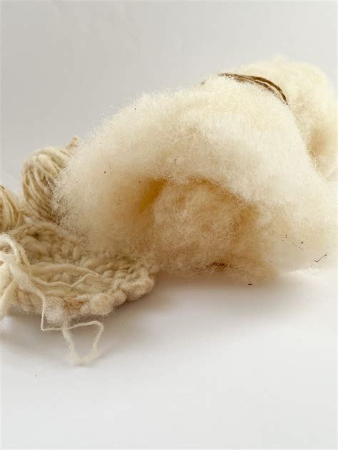Raw Natural Sheep Wool Raw Fleece Felting Wool Etsy