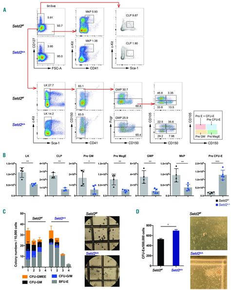 Setd2 Regulates Quiescence And Differentiation Of Adult Hematopoietic Stem Cells By Restricting