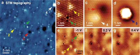 Figure 2 From Point Defects And Grain Boundaries In Rotationally