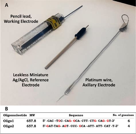 Why Is A Reference Electrode Necessary At Zane Stirling Blog