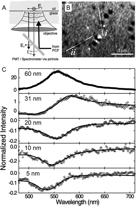 Interferometric Scattering Techniques A Schematic Of The Iscat