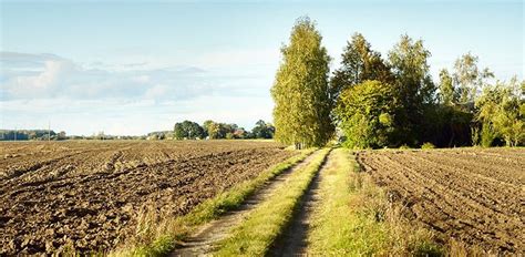 Gabriele Cecchetti Posted On Linkedin