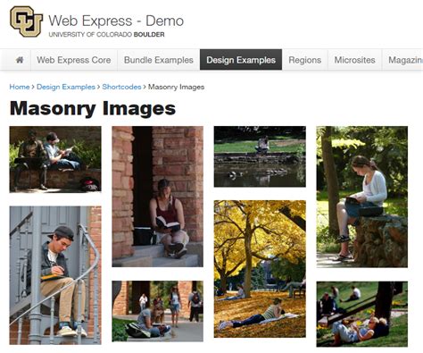 Masonry Images Shortcode Web Express Support Drupal 7