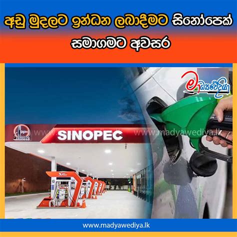 අඩු මුදලට ඉන්ධන ලබාදීමට සිනෝපෙක් සමාගමට අවසර මාධ්‍යවේදියා