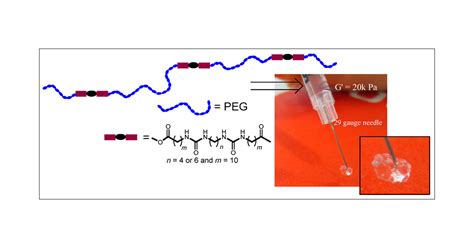 Injectable Hydrogels From Segmented Peg Bisurea Copolymers